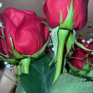 درخواست فایل - HP Elitedesk 800 G2 SFF SPITFIRE rev.A | آموزش آنلاین ...